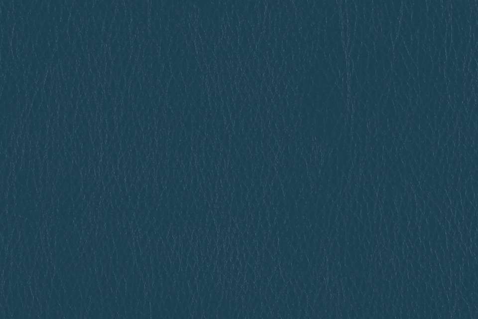 OFS - Caressa Pacific